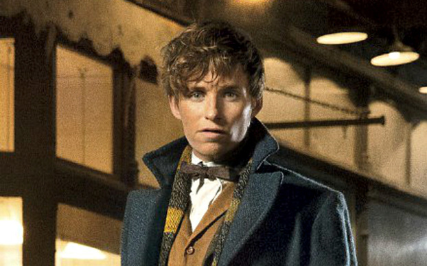Newt Scamander Hakkında Bilmeniz Gerekenler – Fantastik Canavarlar