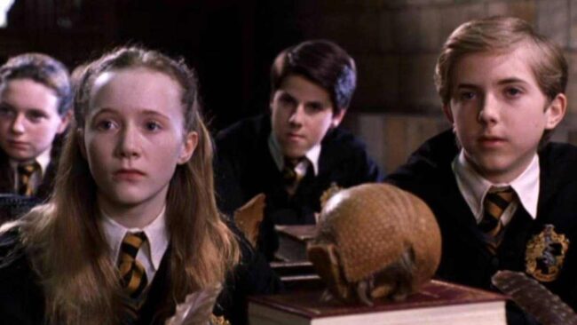 Harry Potter Dünyasının En Ünlü Çiftleri