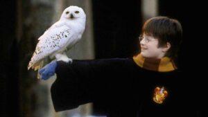 Hedwig Hakkında Az Bilinen 10 Gerçek – Fantastik Canavarlar