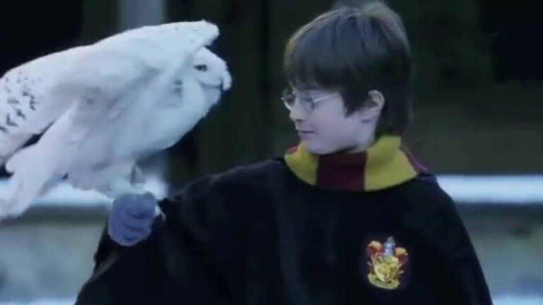 Hedwig Hakkında Az Bilinen 10 Gerçek – Fantastik Canavarlar