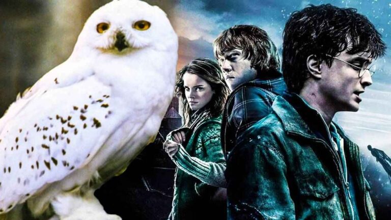 Hedwig Hakkında Az Bilinen 10 Gerçek – Fantastik Canavarlar